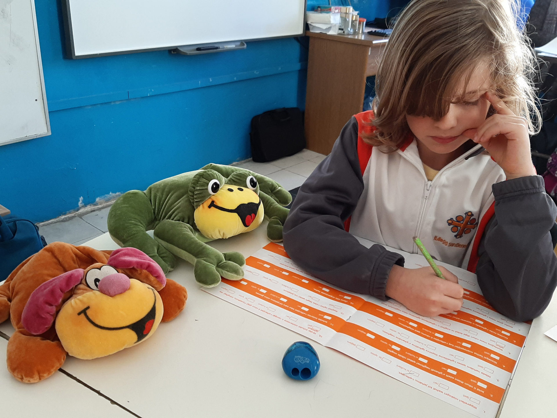 The Learning Connections Inventory - Let Me Learn Malta